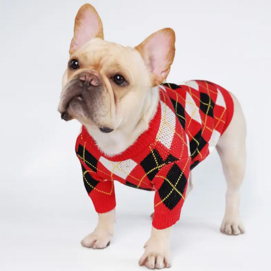 French Bulldog Sweaters | Frenchie Sweaters
