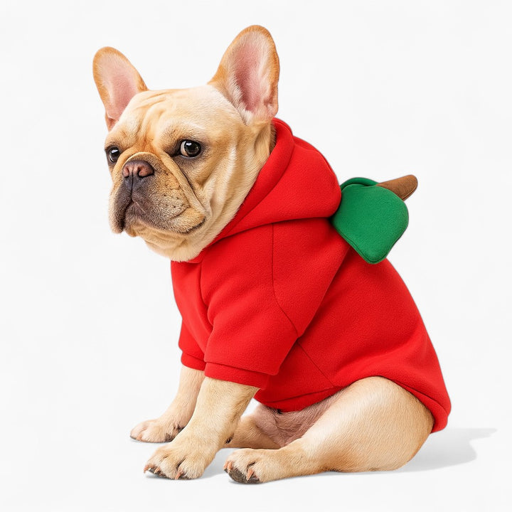 Frenchie Costumes for Halloween & Daily Dress-Up