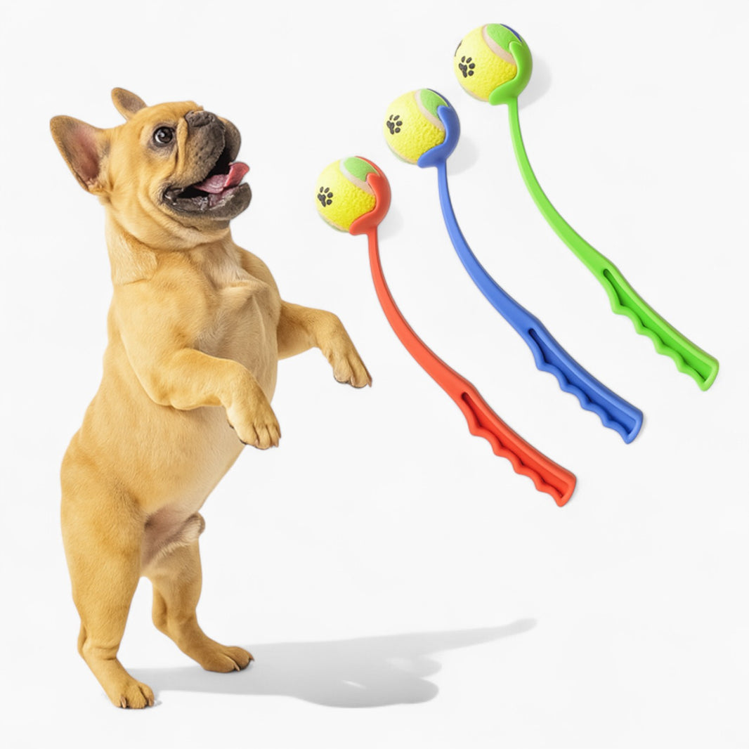 French Bulldog Toys