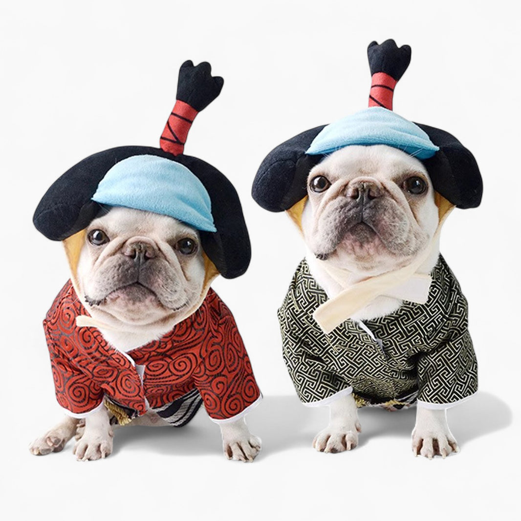 Frenchie Costumes for Halloween & Daily Dress-Up