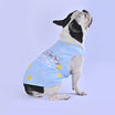 Coolify™: Summer Cooling Vest (CS17) – frenchie Shop