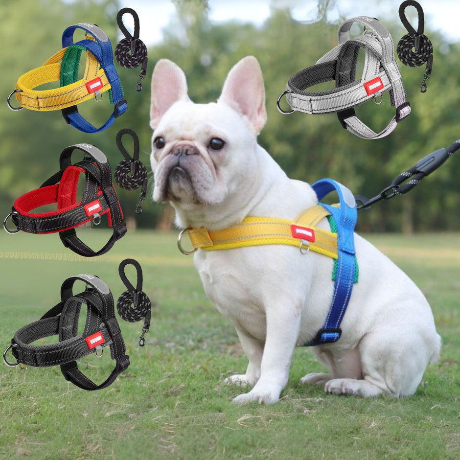 French Bulldog Harness & Matching Leashes