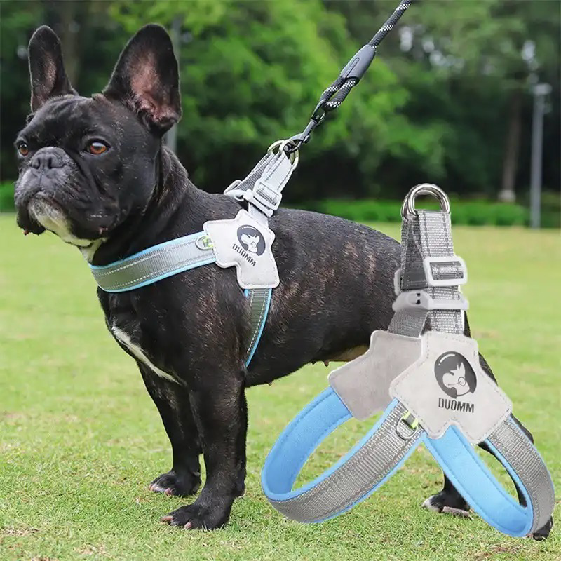 LightLatch Reflective Harness for French Bulldogs