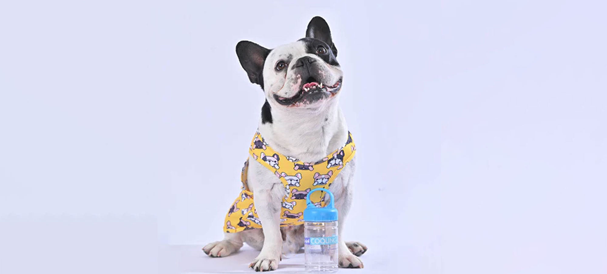 Frenchie Shop : French Bulldog Harnesses, Clothes, Apparel & more ...
