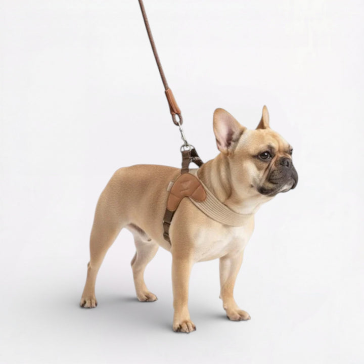 Frenchie Shop - Harnesses, Apparel, Gear & More
