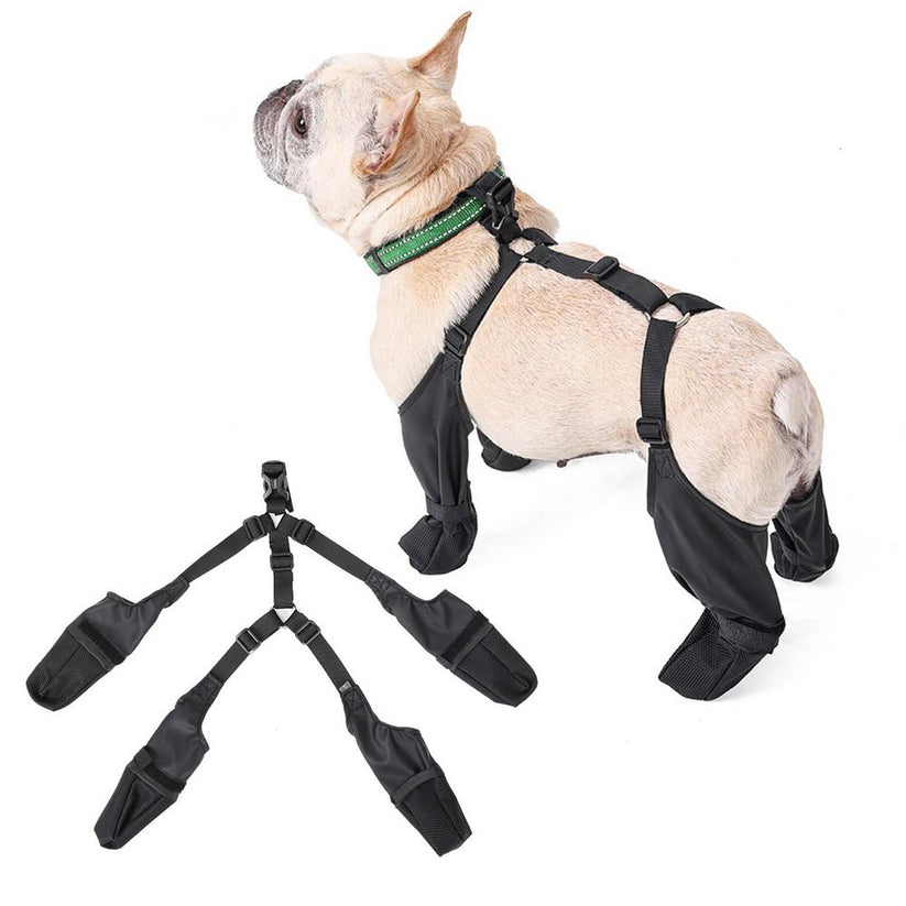 PawGuard French Bulldog Footwear Soft and Stylish Paws Protector ...