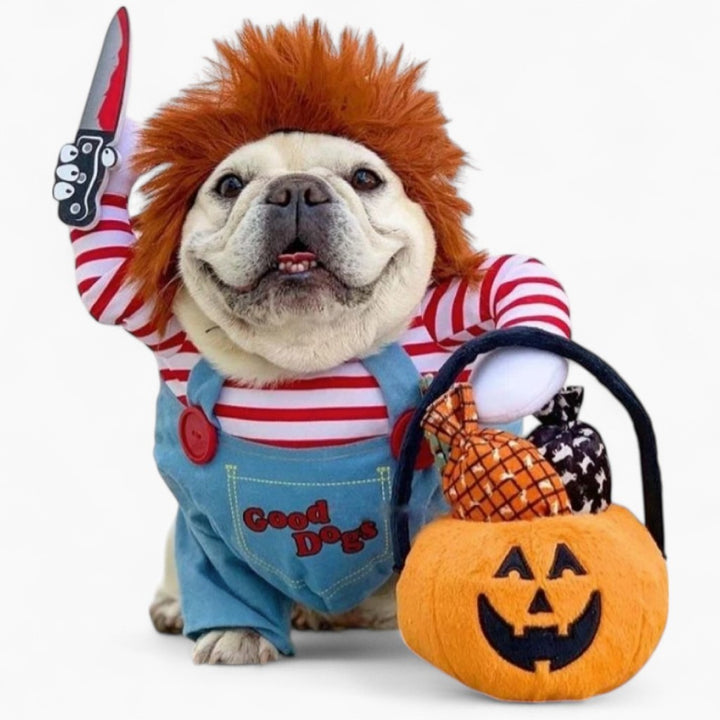 Frenchie Costumes for Halloween & Daily Dress-Up