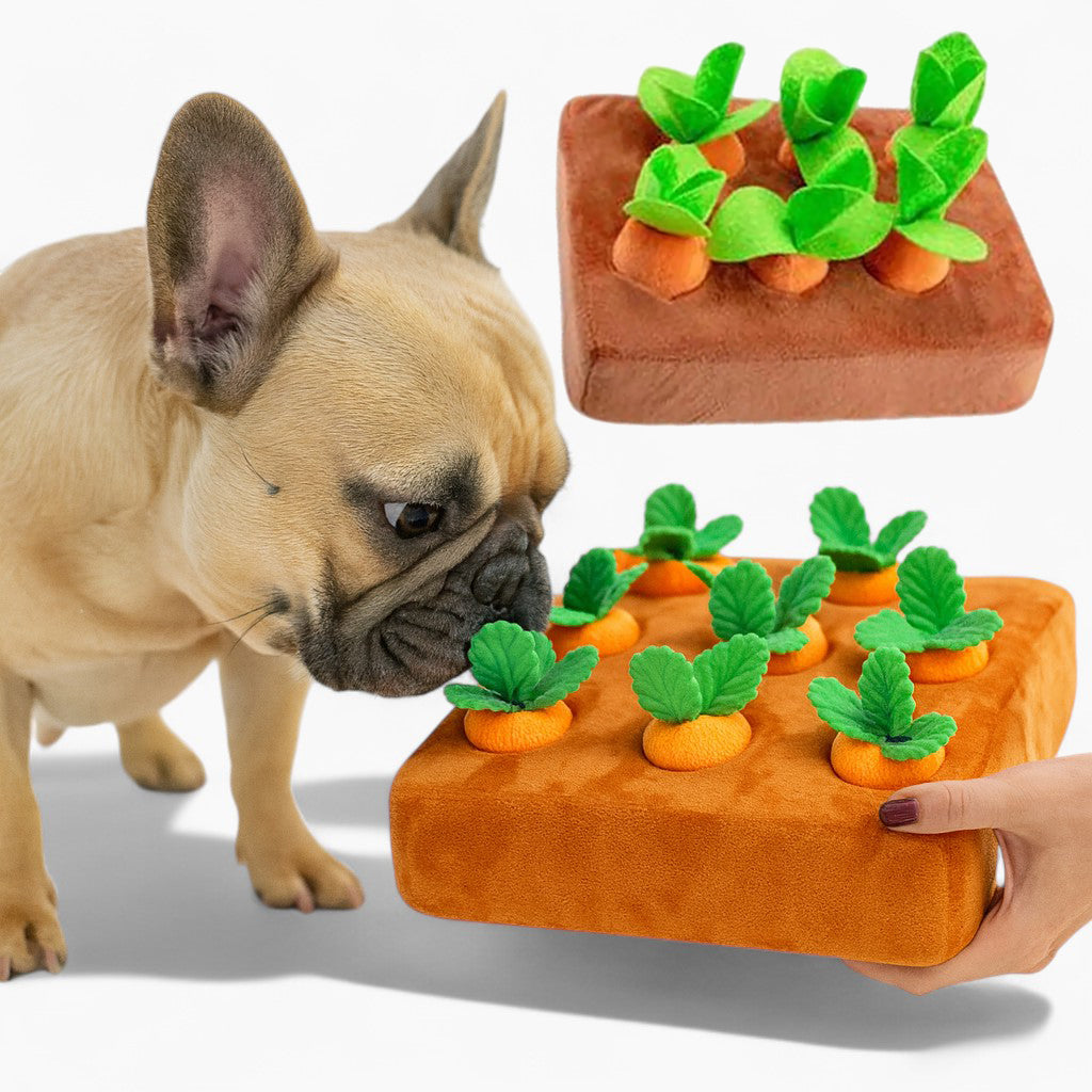 Best Toys for French Bulldogs | Chew, Plush, & Puzzle