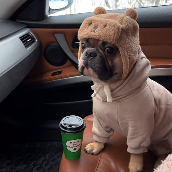 Wool Wonders Frenchie Adorable Winter Hat with Earflaps & Cozy Wool ...