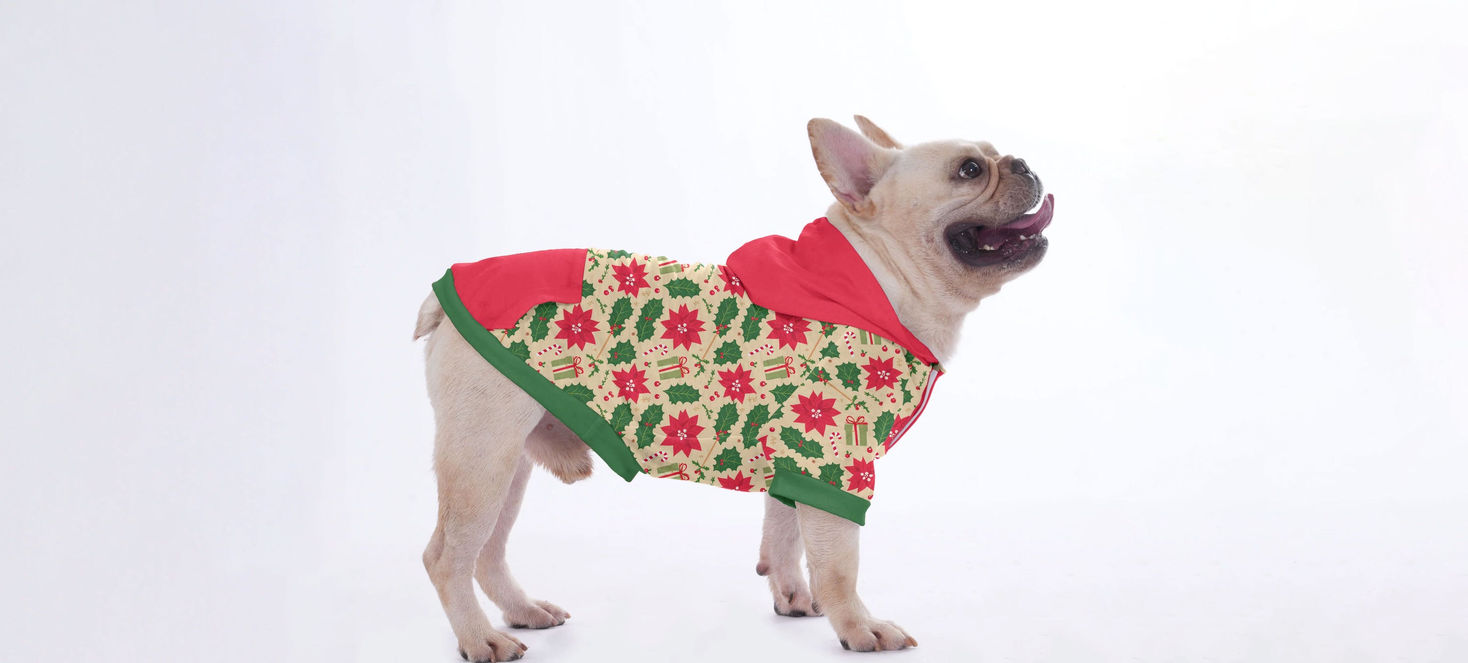 Frenchie Shop : French Bulldog Harnesses, Clothes, Apparel & more ...