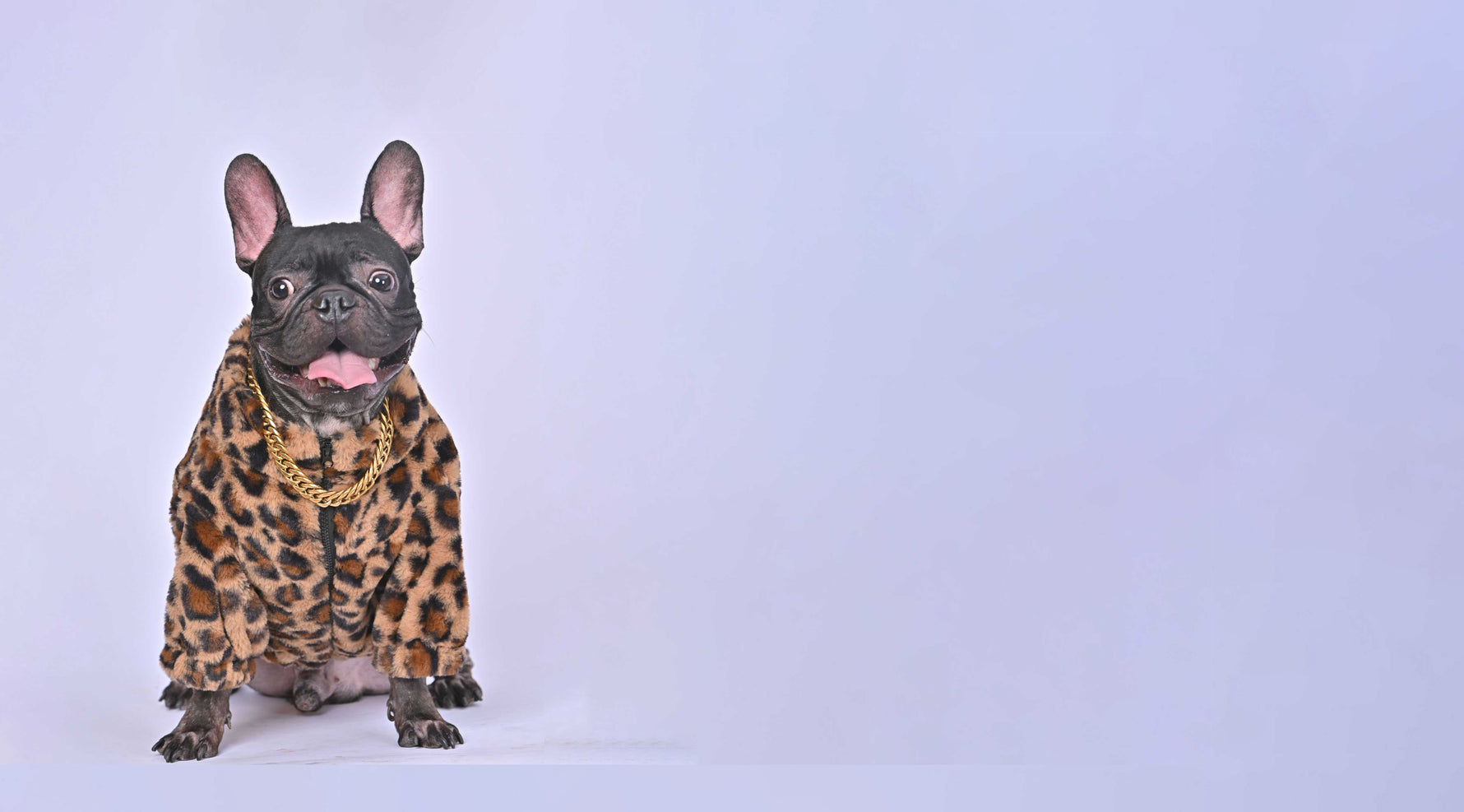 Frenchie Shop : French Bulldog Harnesses, Clothes, Apparel & more ...