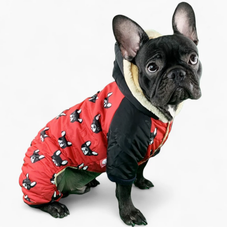 French Bulldog Jackets & Coats | Frenchie Winter Wears