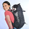 Frenchie Backpack™ [V1] (CS03) – frenchie Shop