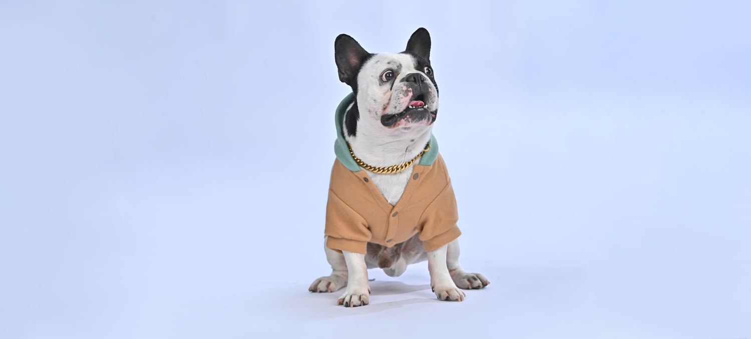 Frenchie Shop : French Bulldog Harnesses, Clothes, Apparel & more ...