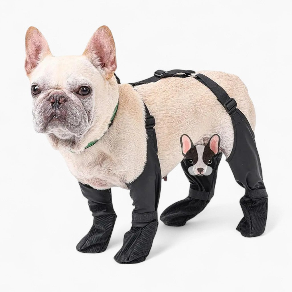 PawGuard – Tough & Comfy Frenchie Paw Protection