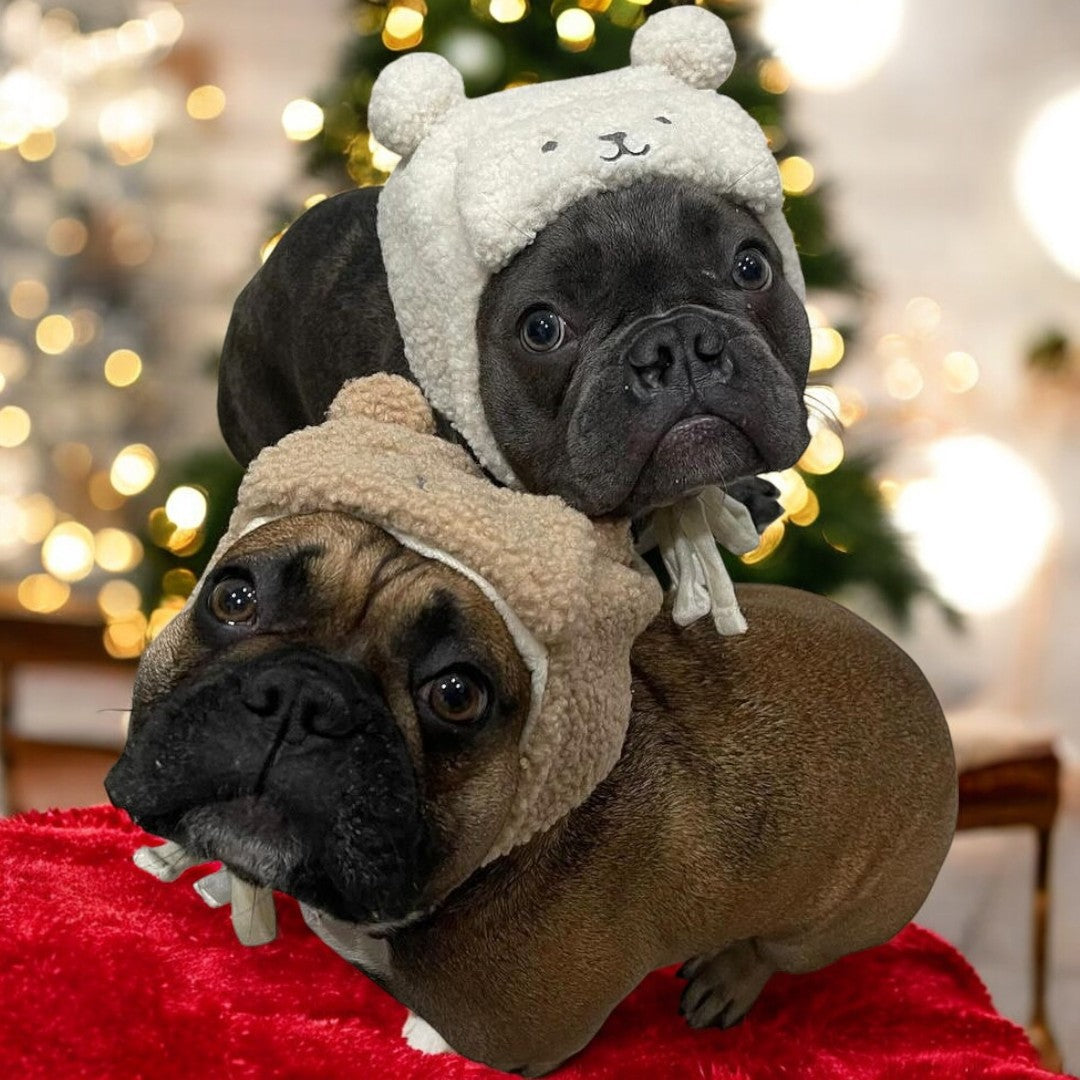 Frenchie Hat with Ears – Cozy Winter Earflap Hat
