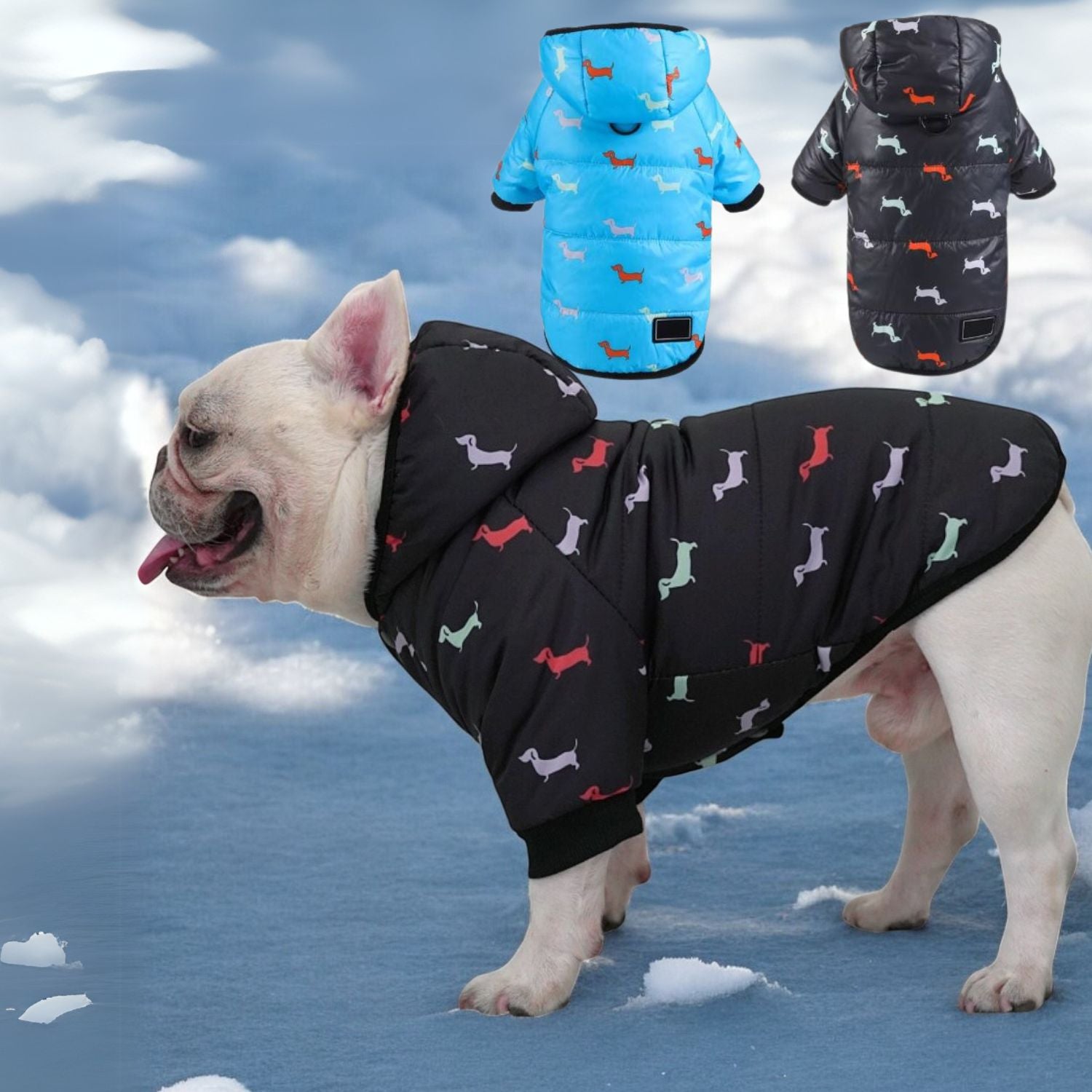 French Bulldog Clothes and Outfits –Page2