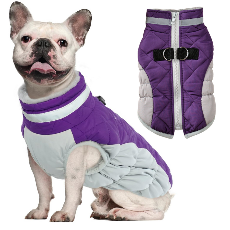 French Bulldog Clothes and Outfits –Page2