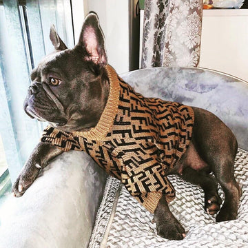Affordable French Bulldog Clothes & Accessories - Frenchie Shop ...