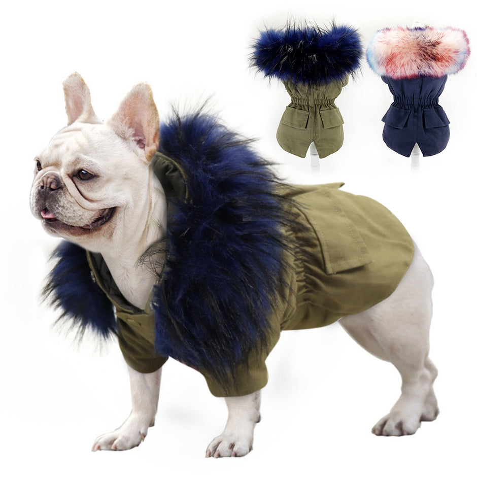 French Bulldog Jackets & Coats | Frenchie Winter Wears