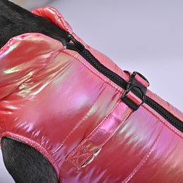 Snow Shield Frenchie Reflective Winter Warm Jacket V2 – frenchie Shop