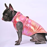 Snow Shield Frenchie Reflective Winter Warm Jacket V2 – frenchie Shop