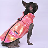 Snow Shield Frenchie Reflective Winter Warm Jacket V2 – frenchie Shop