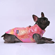 Snow Shield Frenchie Reflective Winter Warm Jacket V2 – frenchie Shop