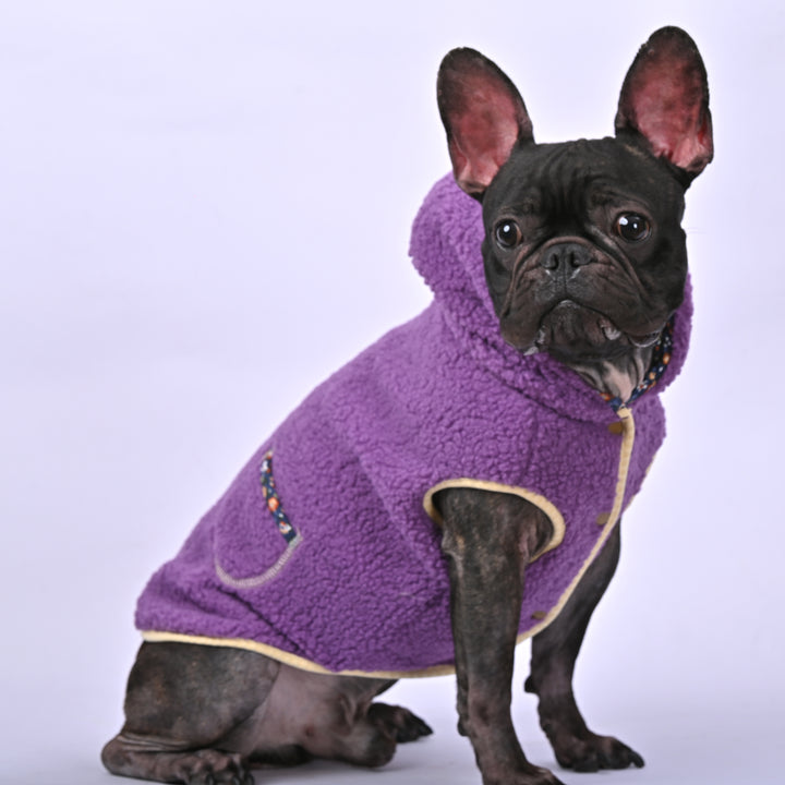 French Bulldog Clothes Collections – Page 2 – frenchie Shop