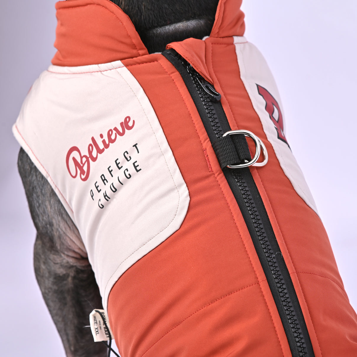 Frostbite Outfit - Frenchie Winter Jacket With Harness Set V1