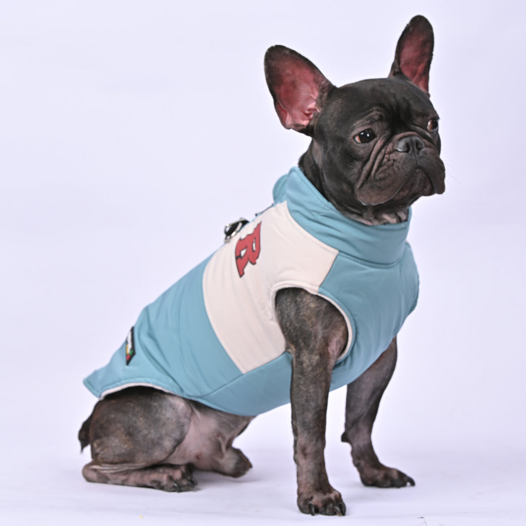 French Bulldog Clothes Collections – Page 4 – frenchie Shop