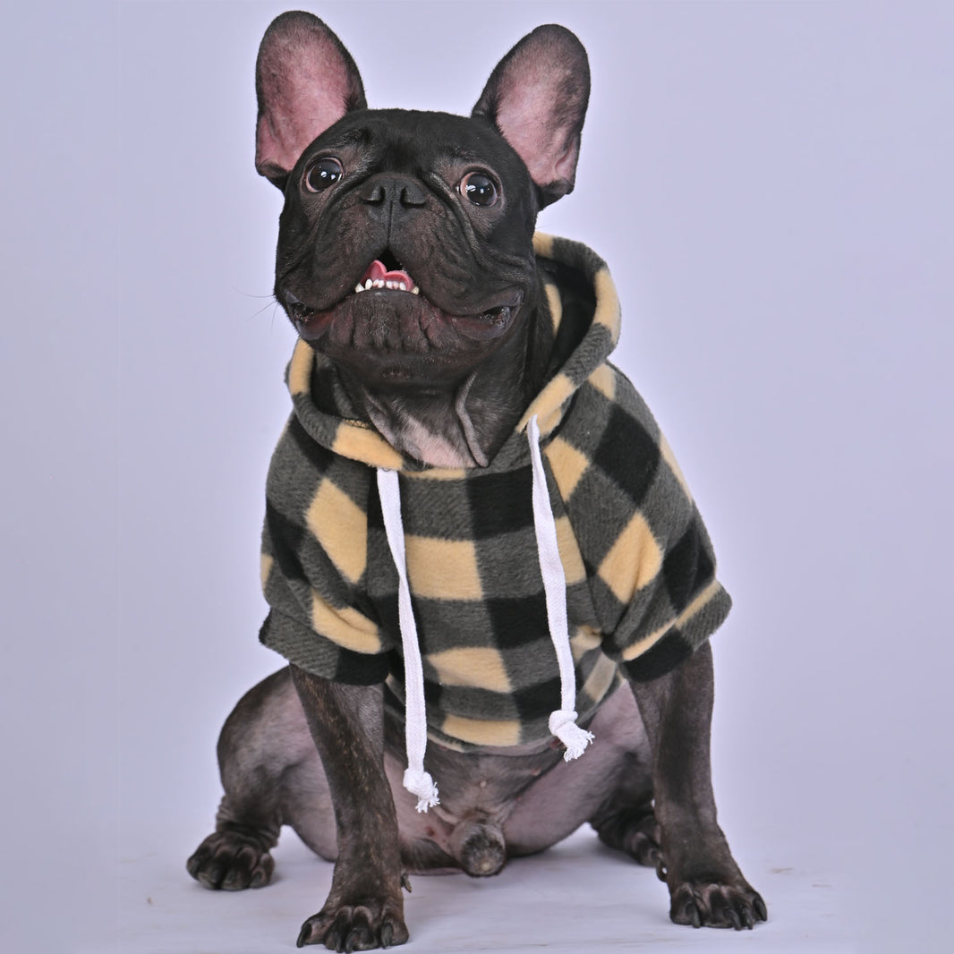 French Bulldog Clothes and Outfits –Page6