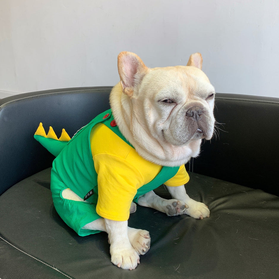 French Bulldog Clothes Collections – Page 4 – frenchie Shop