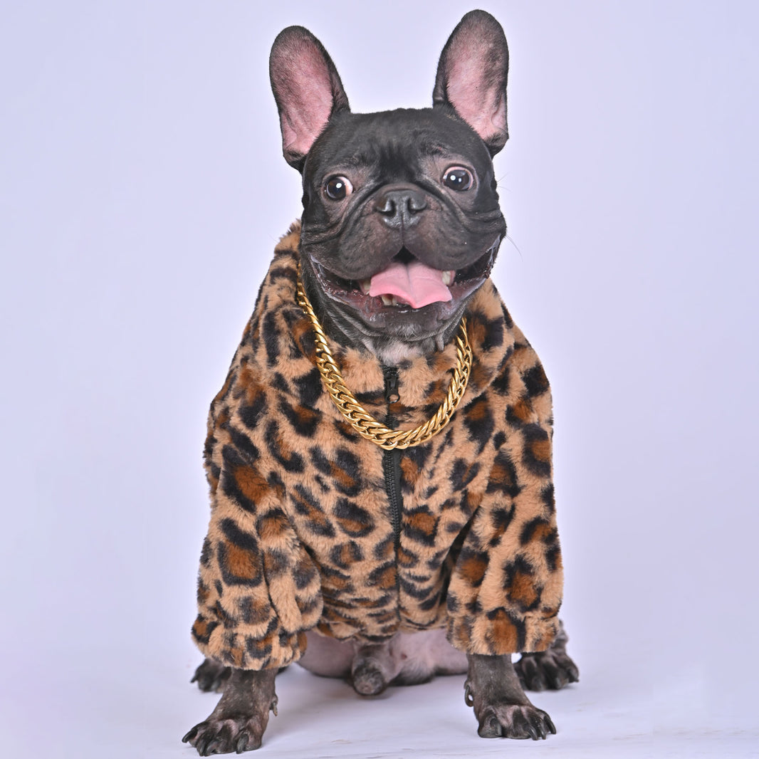Frenchie Shop : French Bulldog Harnesses, Clothes, Apparel & more ...