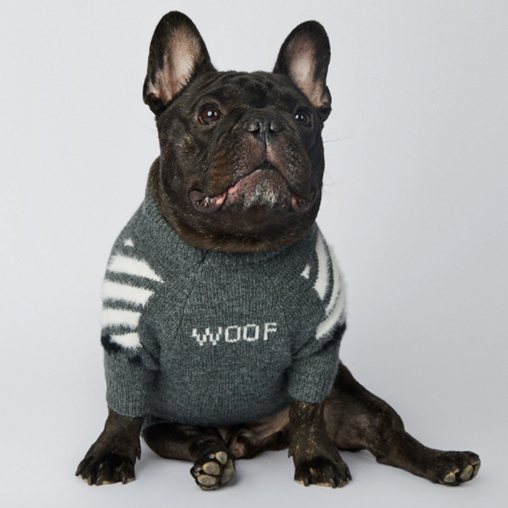 French Bulldog Sweaters | Frenchie Sweaters