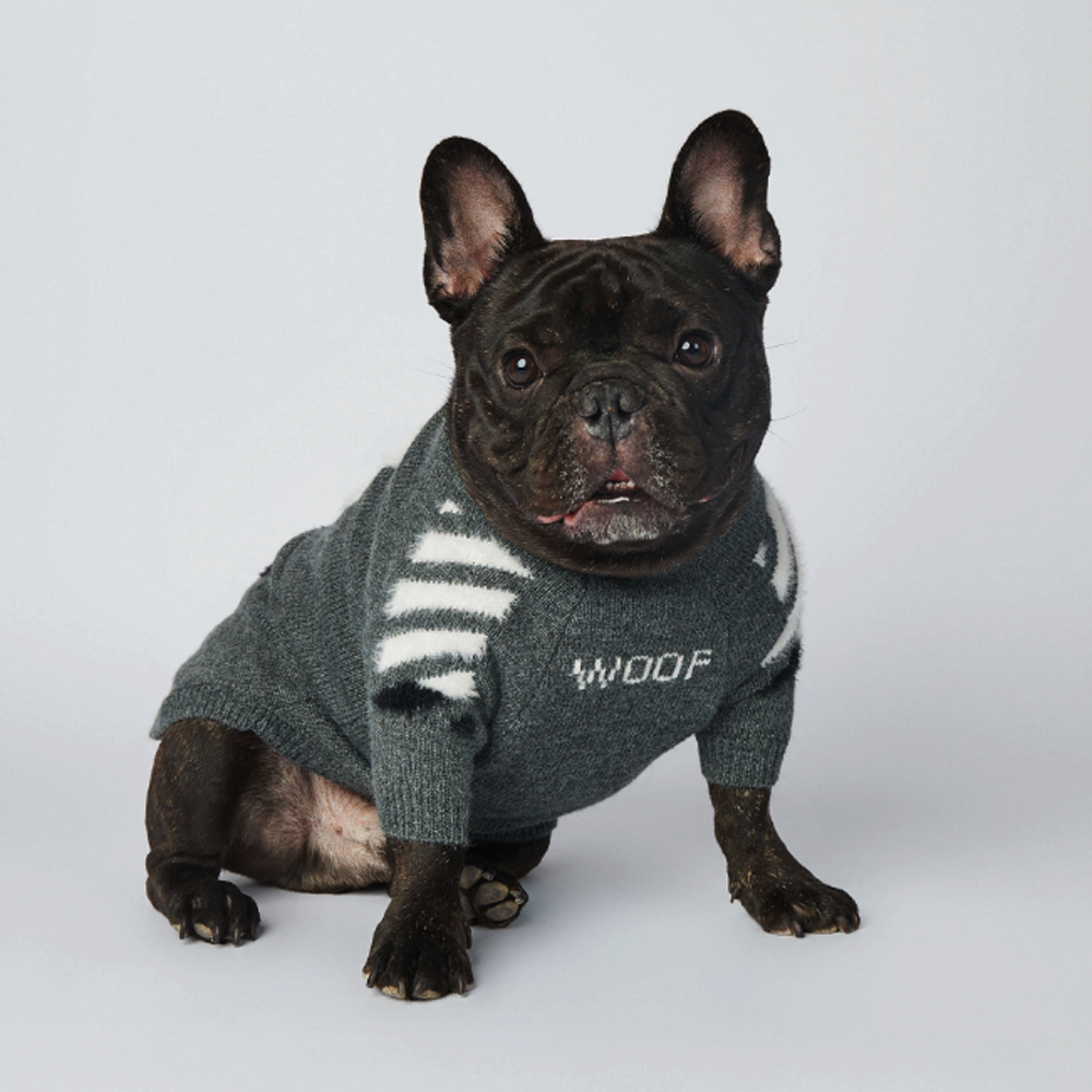 French Bulldog Winter Sweater – Cozy, Stylish & Warm