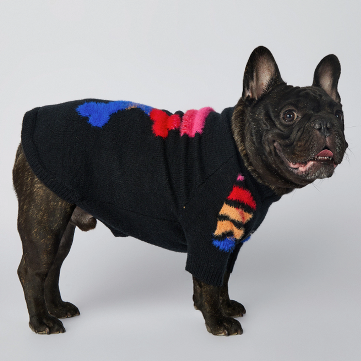 French Bulldog Clothes Collections – frenchie Shop