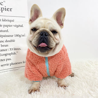 Trendy Winter Cloth for French Bulldog (WJ12) – frenchie Shop