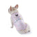 French Bulldog Cooling Vest – Stay Cool with Coolify™