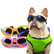 waterproof Goggles for Frenchies (WS04) – frenchie Shop