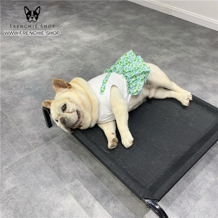 French Bulldog Clothes for Girls