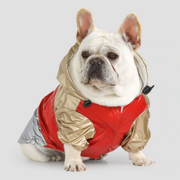 French Bulldog Clothes Collections – Page 4 – frenchie Shop
